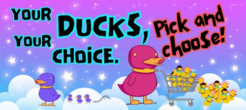 CoolDucky | Your Ducks, Your Choice